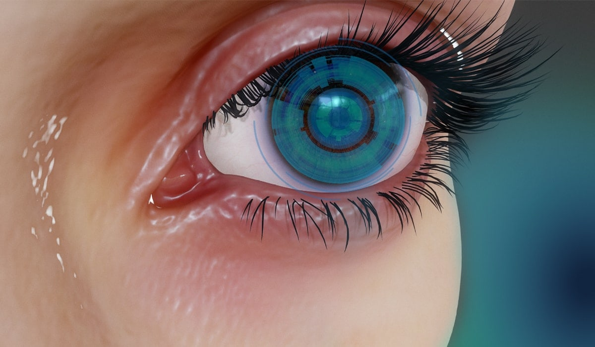 Iris Recognition: The Future of Secure Biometric Identification ...