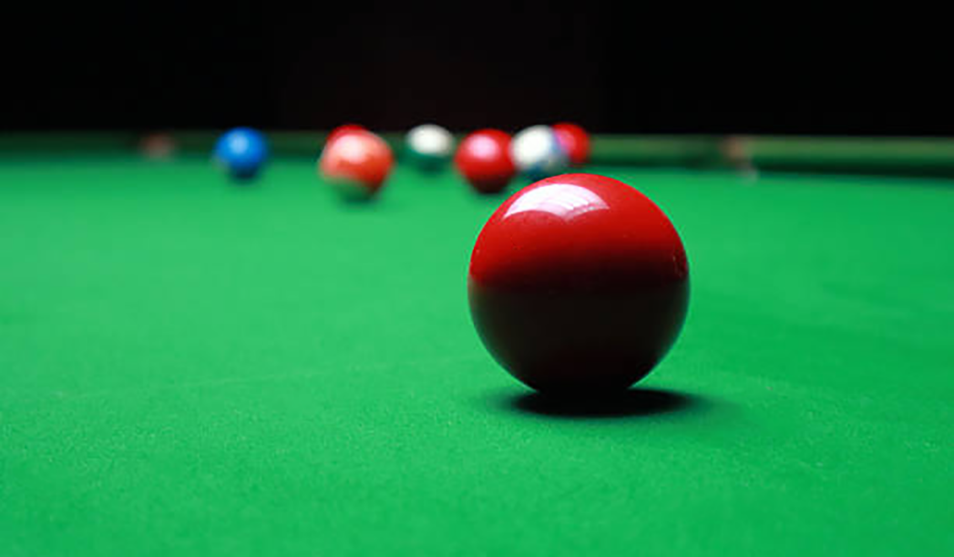 A Complete Guide to Snooker and Pool Cue Materials - Paint Pulse